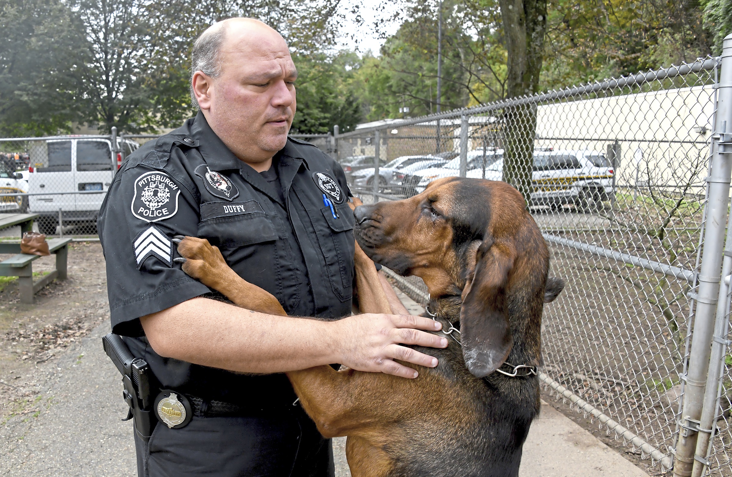Cappy: A rescued bloodhound is tracking, mending hearts with Pittsburgh ...