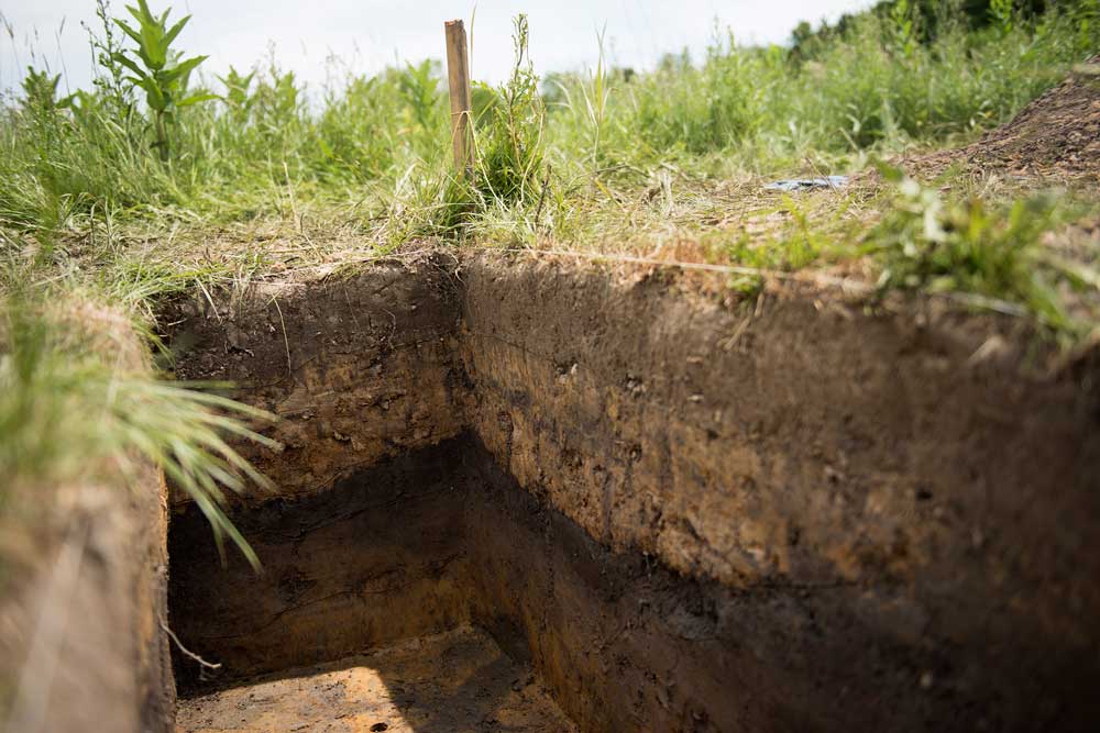 Fort Necessity National Battlefield: A living, evolving lab for ...