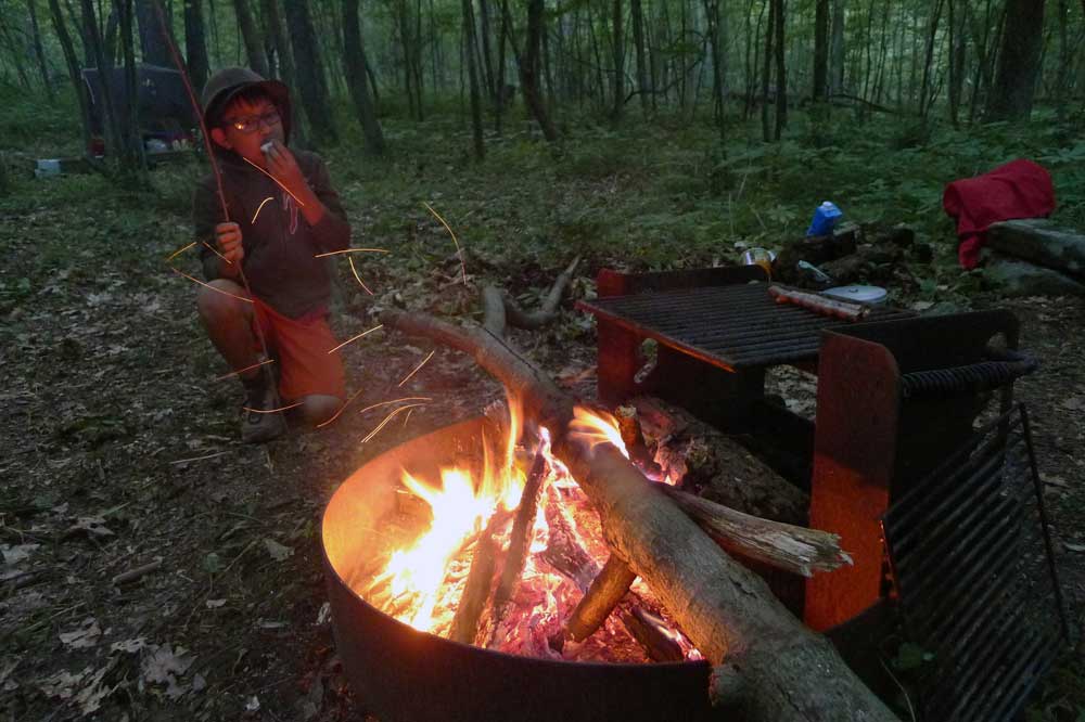 U.S. National Parks Service at 100 Years